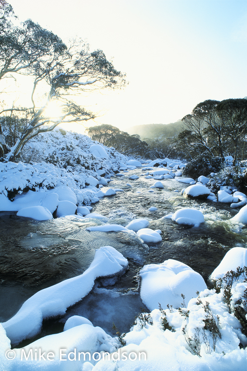 Thredbo River Sunrise